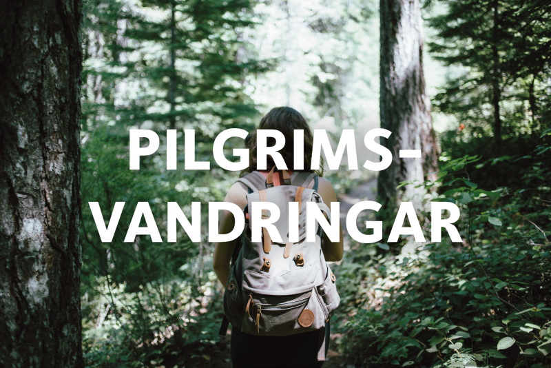 Aktuella pilgrimsvandringar - Tyresö församling
